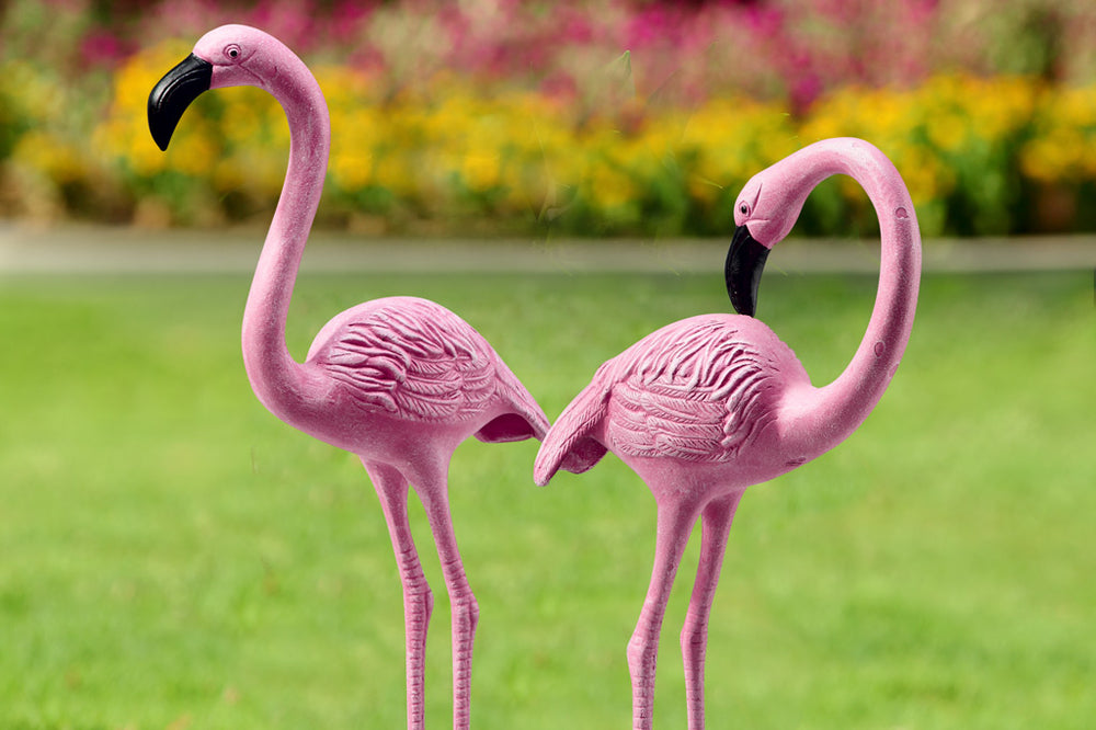 Tropical Flamingo Pair